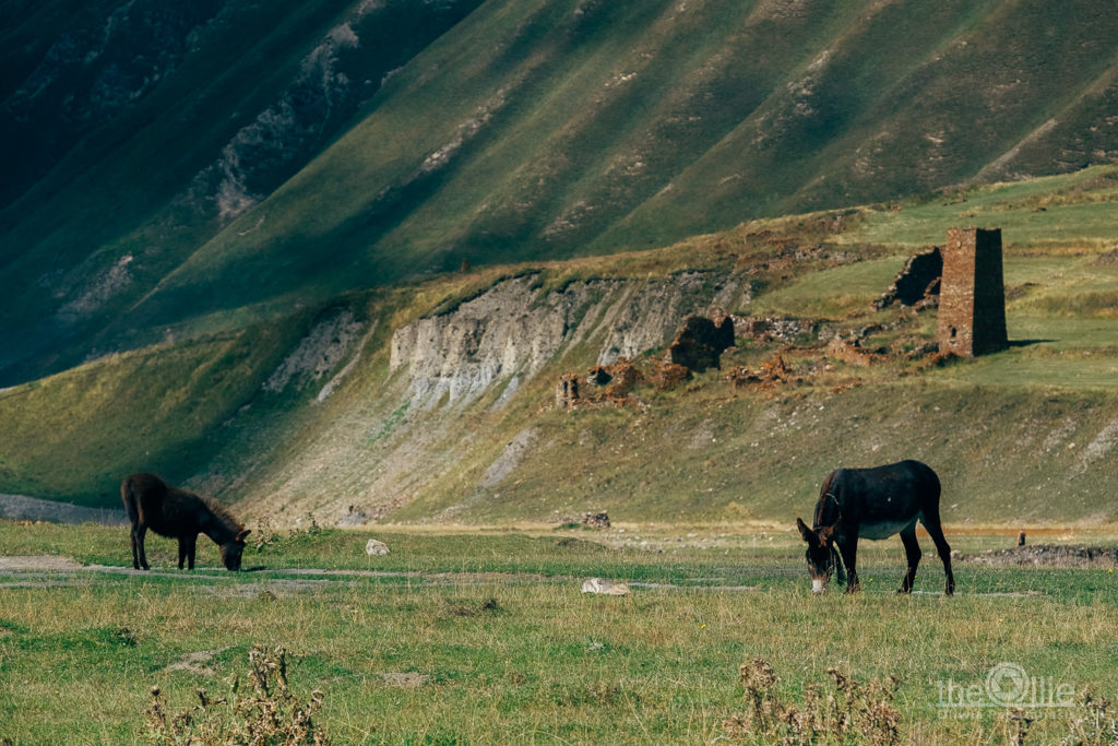 Dolina Truso i Juta - piękne trekkingi w okolicach Kazbegi - Oliwia ...